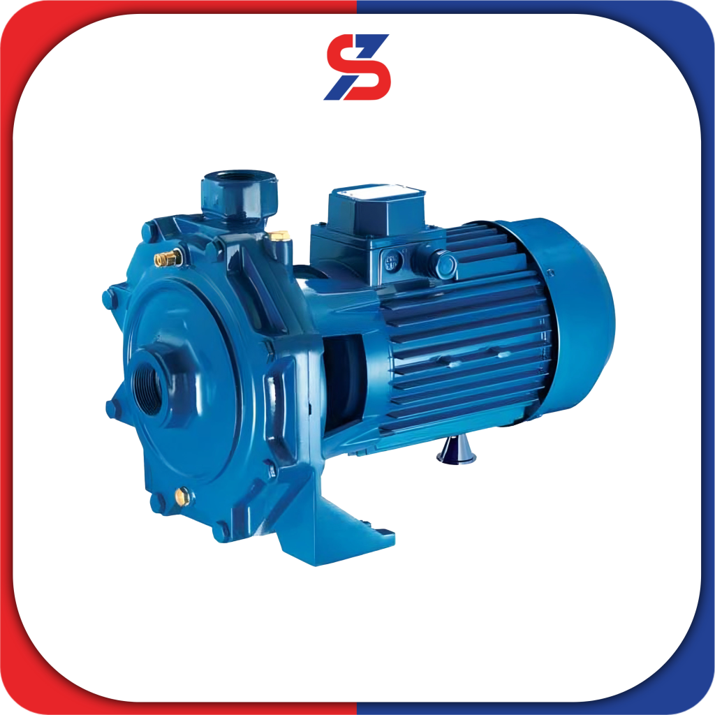 پمپ دو اسب پنتاکس پروانه برنجی CB210/01 IR - سون تاسیسات